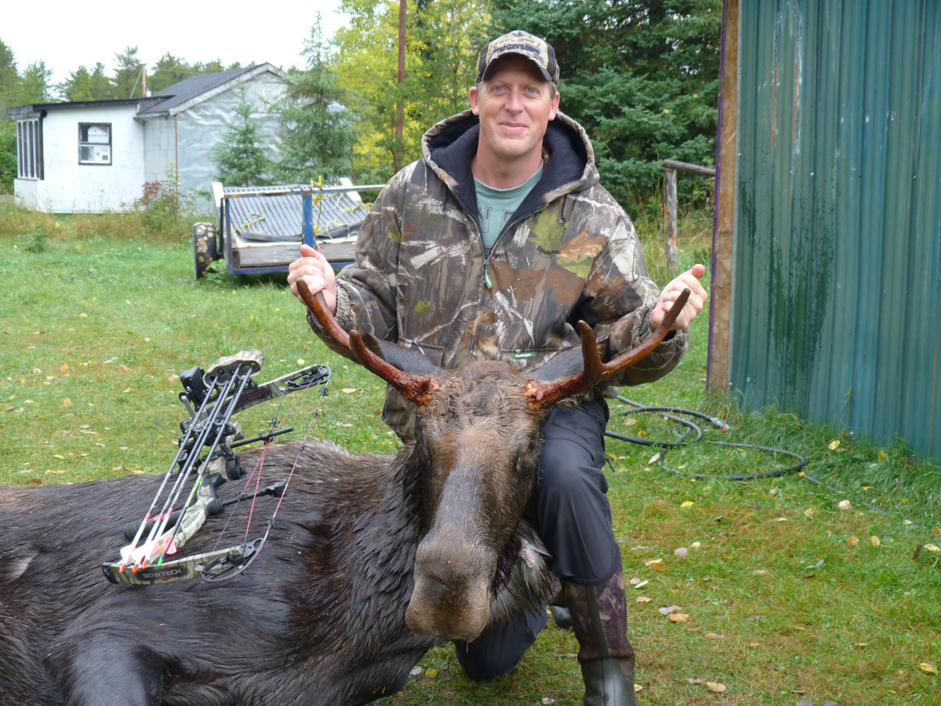 BULL MOOSE CALLING – Tips and Tricks – Bigwoodsman